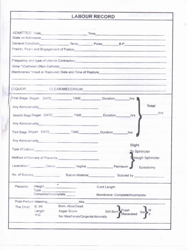 Labour Sheet | PDF