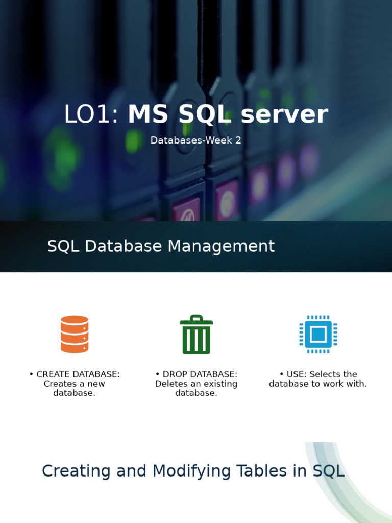 Lecture Week 2-Databases | PDF | Information Technology Management | Software Design