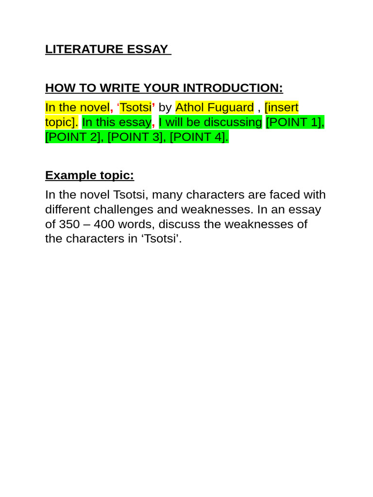 Writing a Grade 11 Tsotsi Essay | PDF