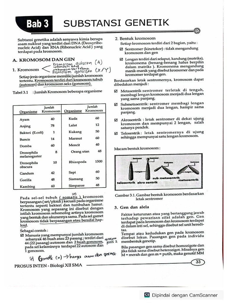 Inten Biologi BAB.3 Substansi Genetik | PDF