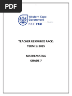 Grade 4 Term 2 2025 Tracker | PDF | Mathematics | Arithmetic