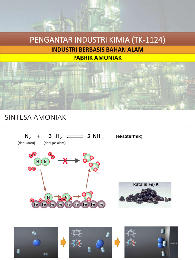 Sintesis Amoniak di Gresik, Jawa Timur | PDF