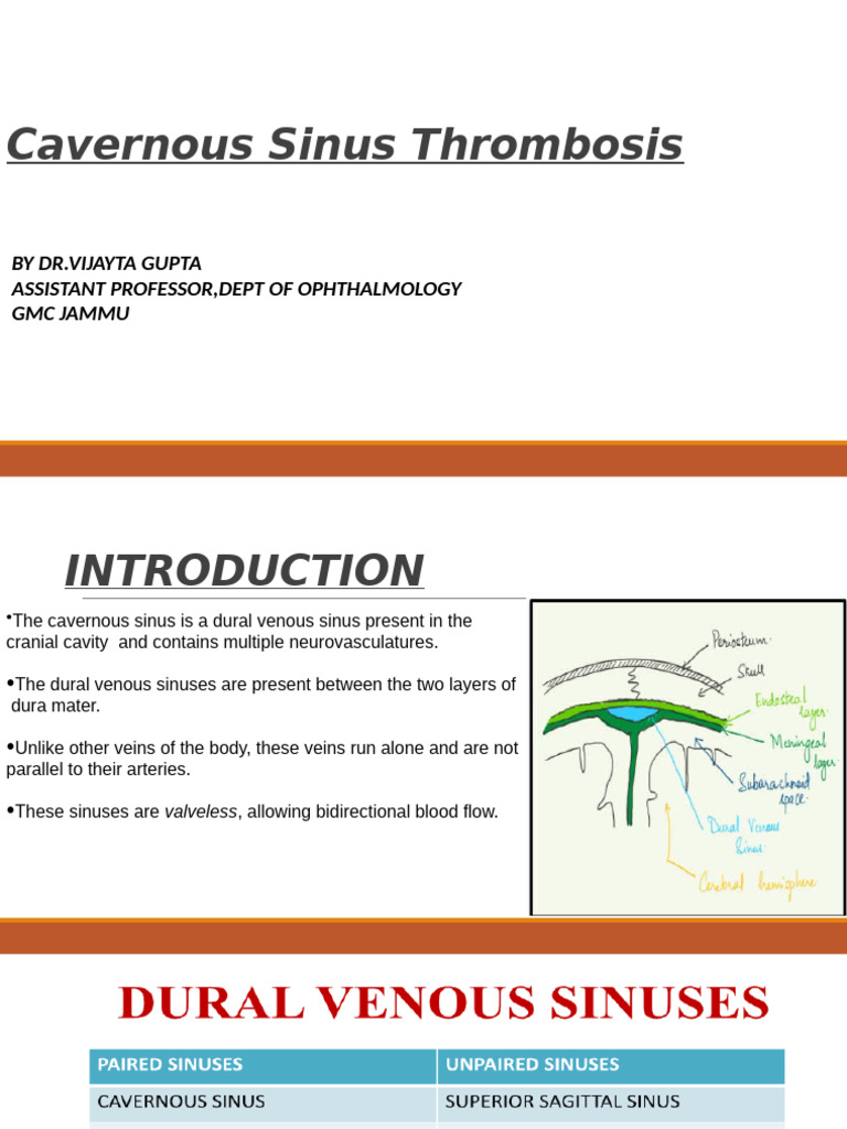 Cavernous Sinus Thrombosis Overview | PDF | Vein | Diseases And Disorders
