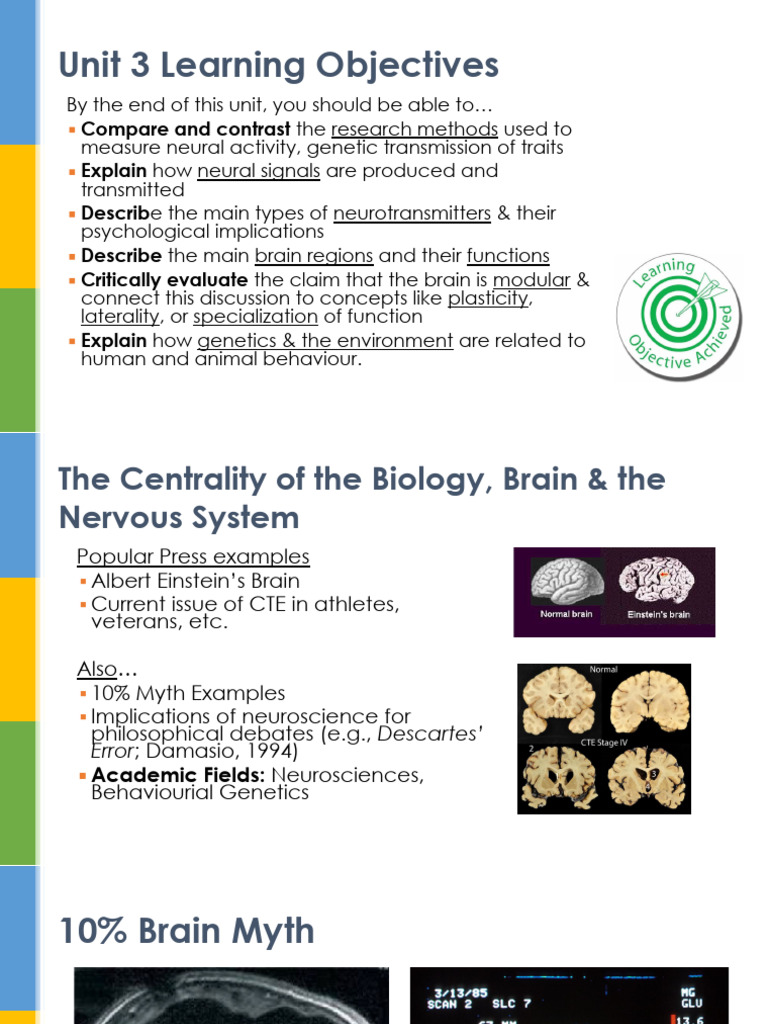Topic 3A Psychobiology - Brain and Nervous System | PDF | Neuron ...
