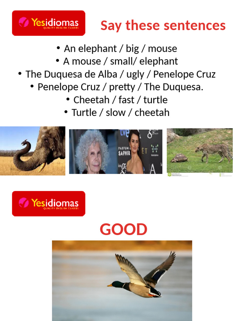 Superlatives Irregular Comparatives Grammar Guides 87973 | PDF