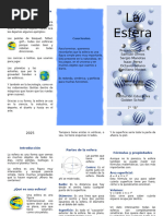 Desarrollo y Métodos de Esferas | PDF | Ciencia y matemáticas | Tecnología