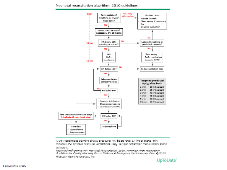 Neonatal Resuscitation Algorithm | PDF