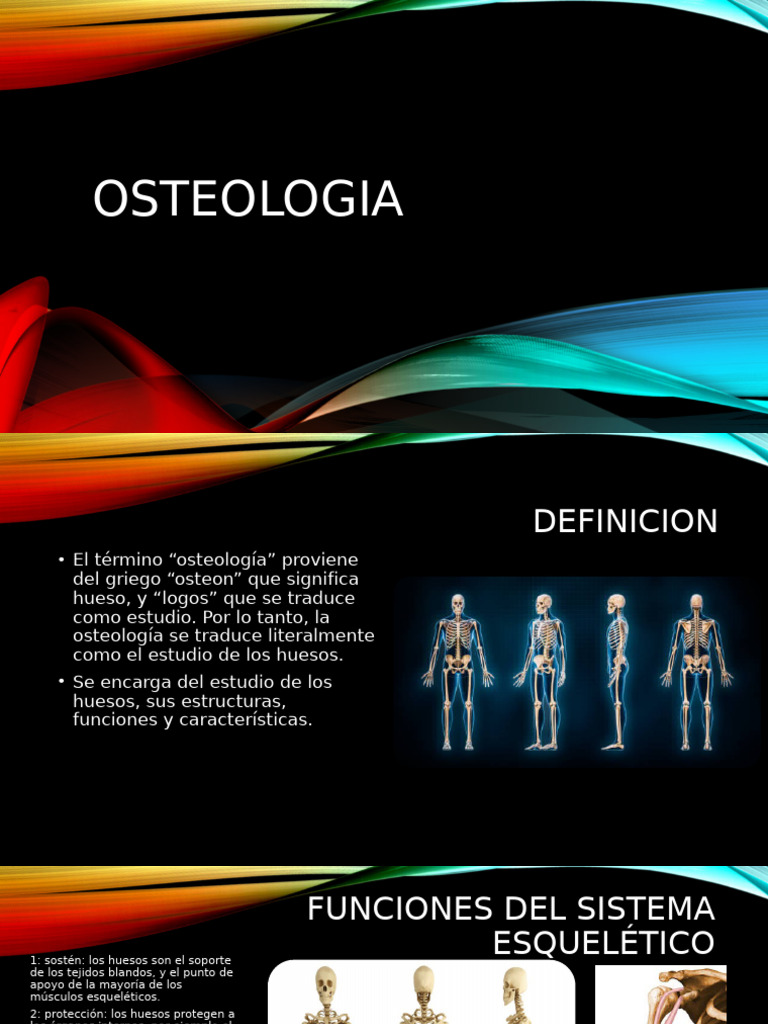 Copia de Osteologia 1 | PDF | Hueso | Tejido (biología)
