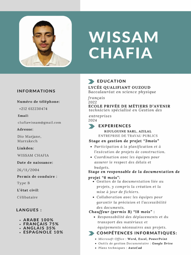 CV Wissam Chafia | PDF