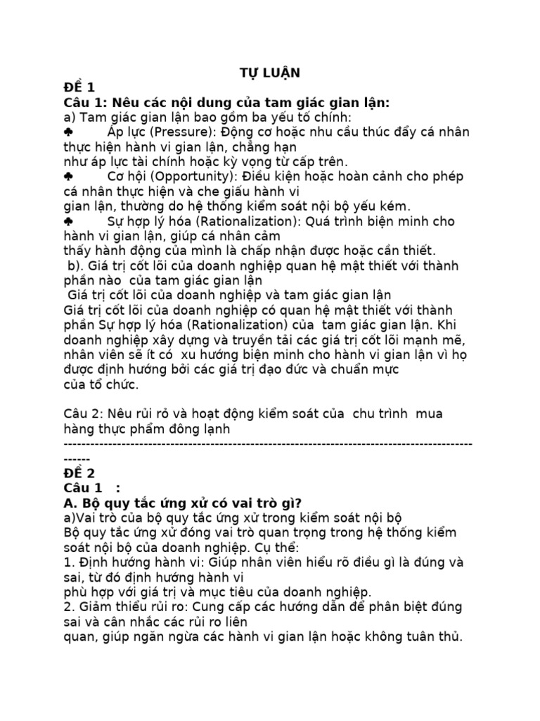 TỰ LUẬN KSNB | PDF