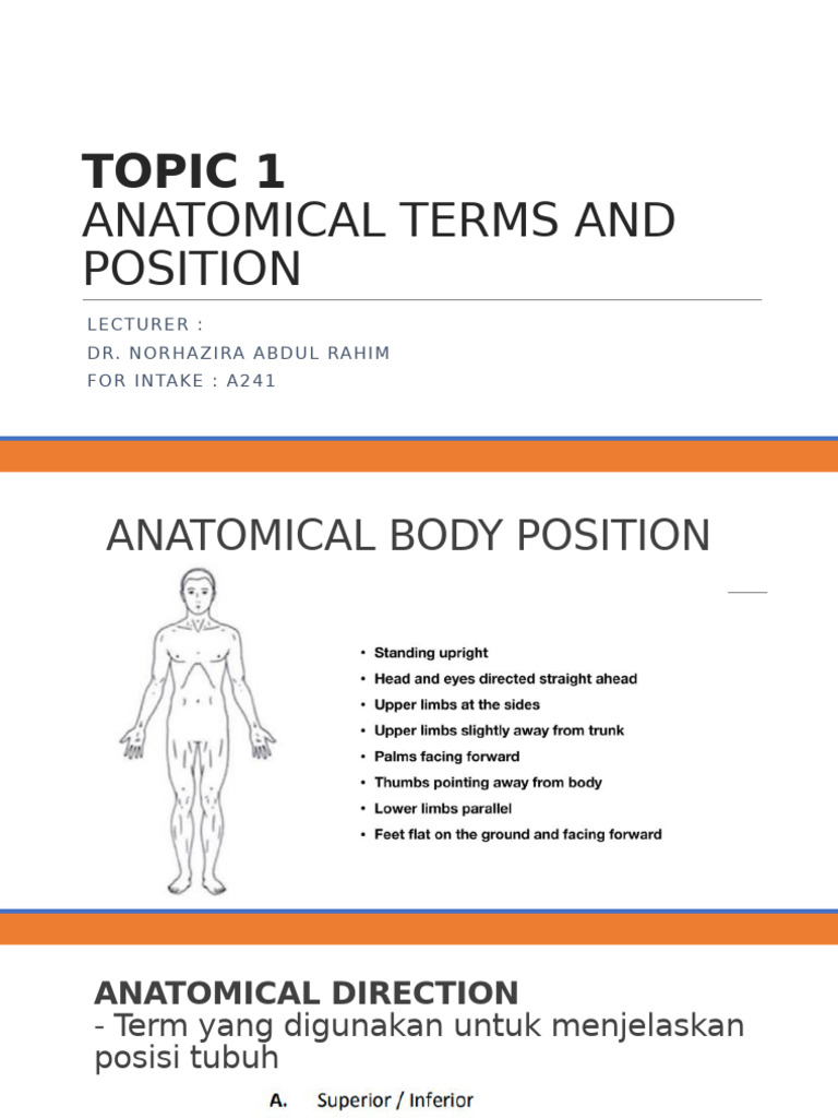 Lecture 1a Anatomical Position & Directional Terms | PDF | Epithelium ...