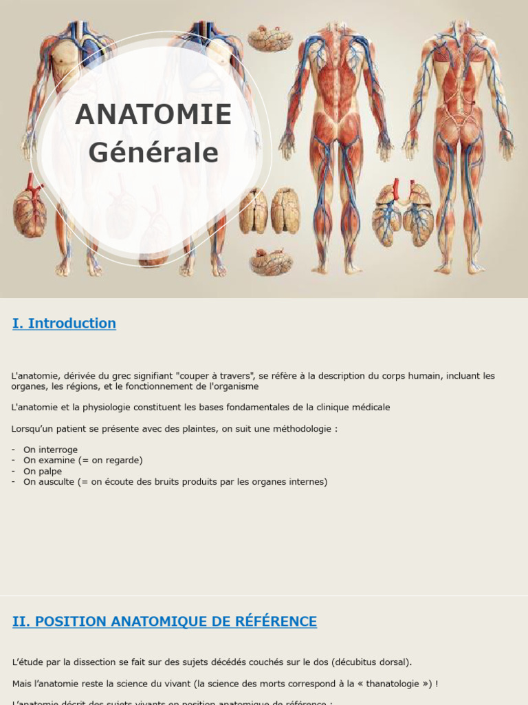 Position Anatomique de Référence | PDF | Vertèbre | Colonne vertébrale