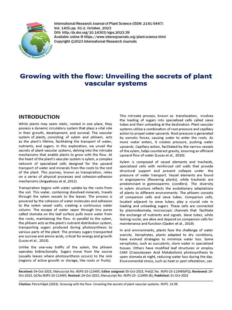 Growing With The Flow Unveiling The Secrets of Plant Vascular Systems ...