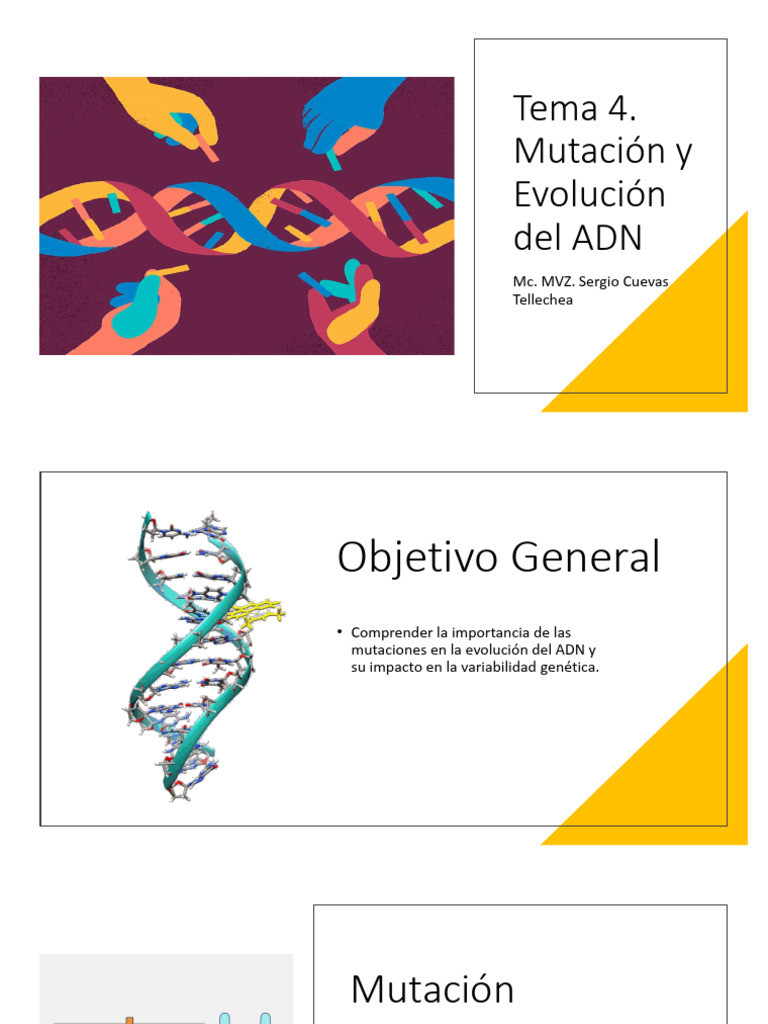 Mutaciones y Evolución del ADN | PDF | Mutación | Gene