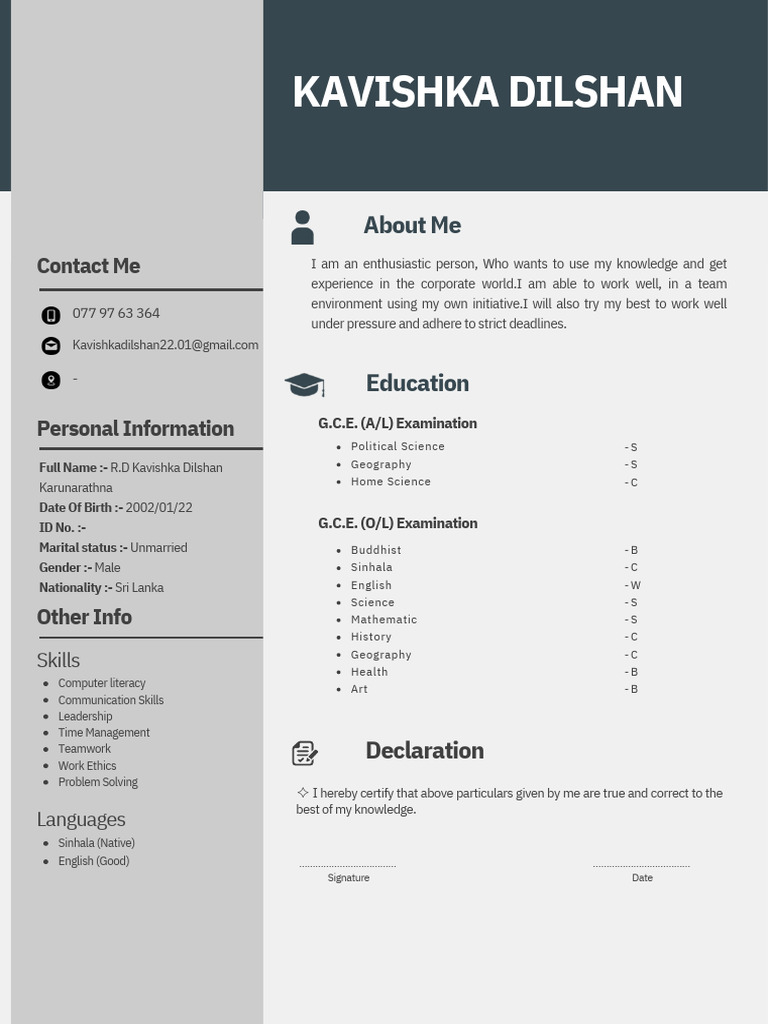 Gray Color Professional CV | PDF