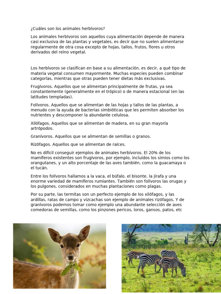 Cuáles Son Los Animales Herbívoros, Carnivoros y Omnivoros | PDF ...