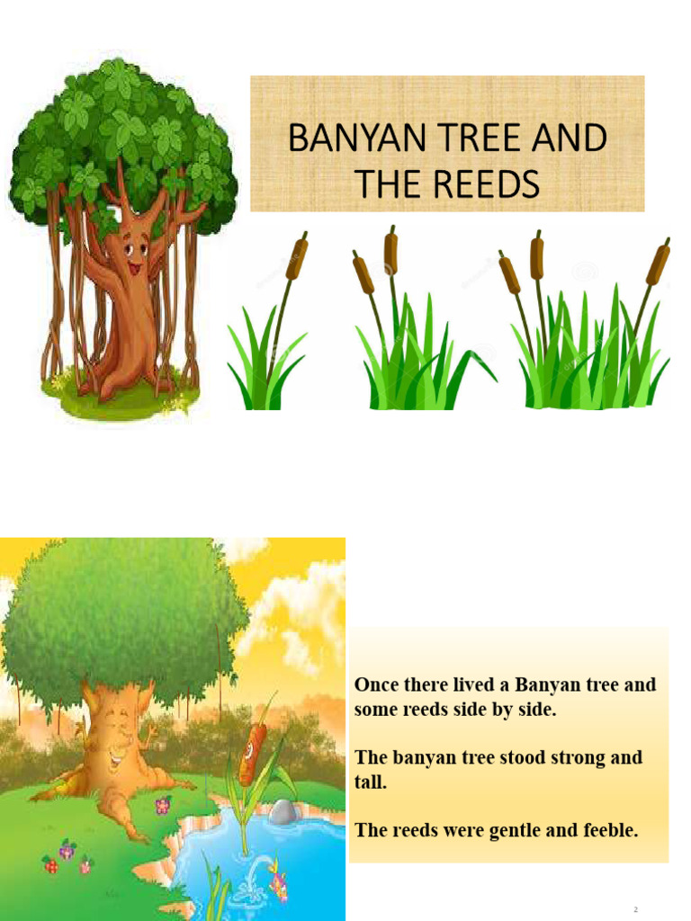 Banyan Tree and Reeds: A Moral Tale | PDF