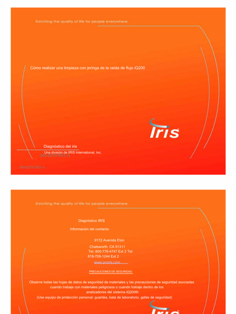 How To Perform A Syringe Flush On The IQ200 Flowce - 250527 - 124130 | PDF