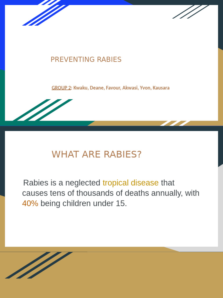 Rabies Presentation | PDF
