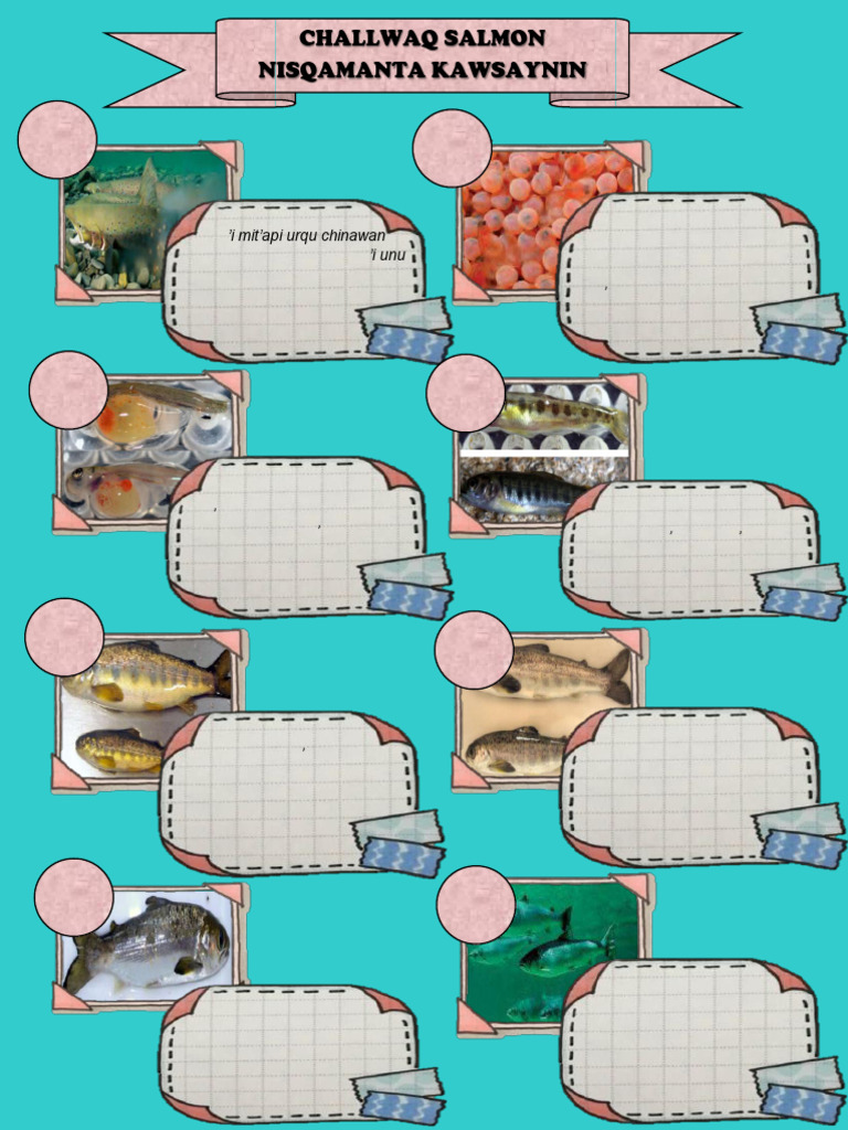 Afiche de Salmon | PDF