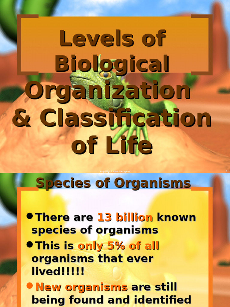 Classification of Life | PDF | Taxonomy (Biology) | Bacteria