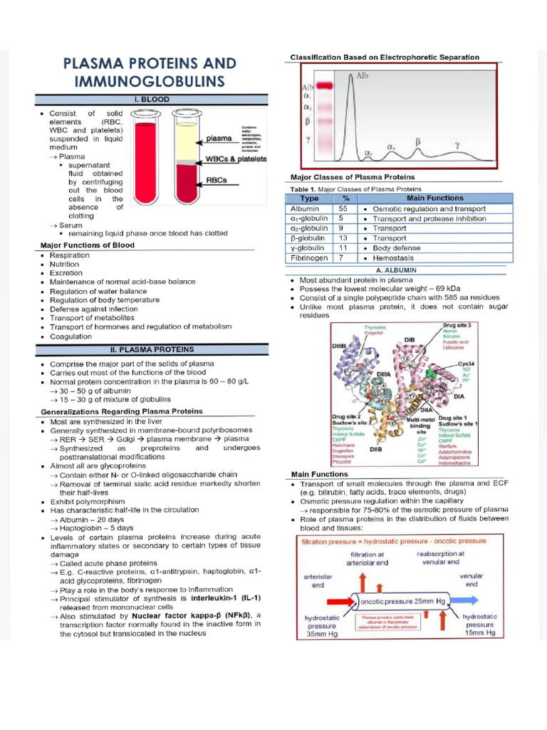 Plasma Proteins and Immunology | PDF