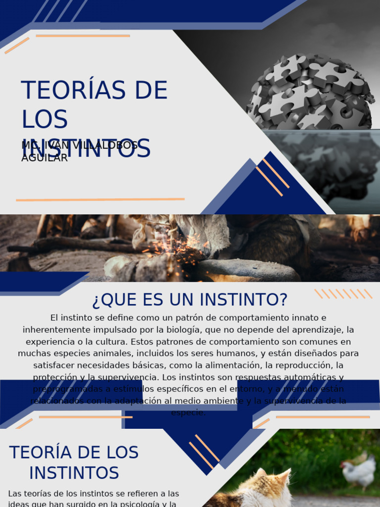 Teoría de Instintos | PDF | Instinto | Etología