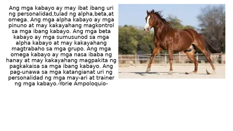 Ang Mga Kabayo Ay May Ibat Ibang Uri | PDF