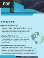 IFC's Performance Standard 6: Biodiversity Conservation and Sustainable ...