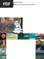 Tipos y funciones de las aletas en peces | PDF | Pescado | Vertebrados ...