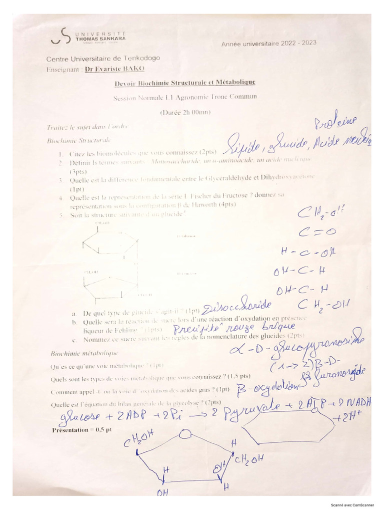 Biochimie Structurale Devoirs | PDF