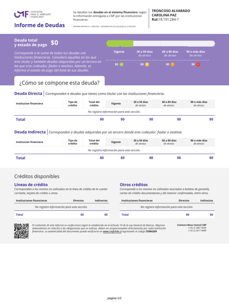 Informe Deudas PDF | PDF | Deuda | Dinero