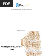 Tróclea - Qué Es, Significado, Ubicación, Función y Lesiones | PDF ...