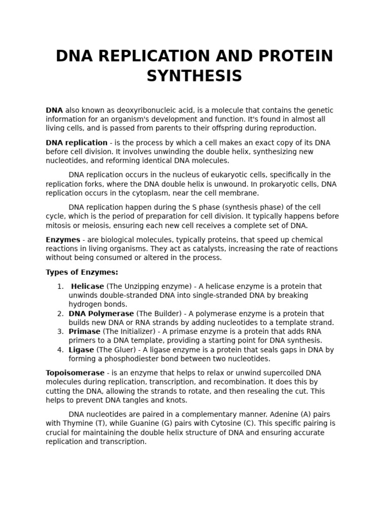 DNA Replication and Protein Synthesis | PDF | Rna | Translation (Biology)