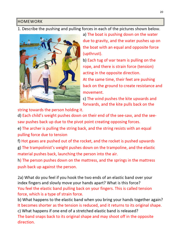 Forces and Their Effects - Answers To Homework | PDF | Force | Magnet