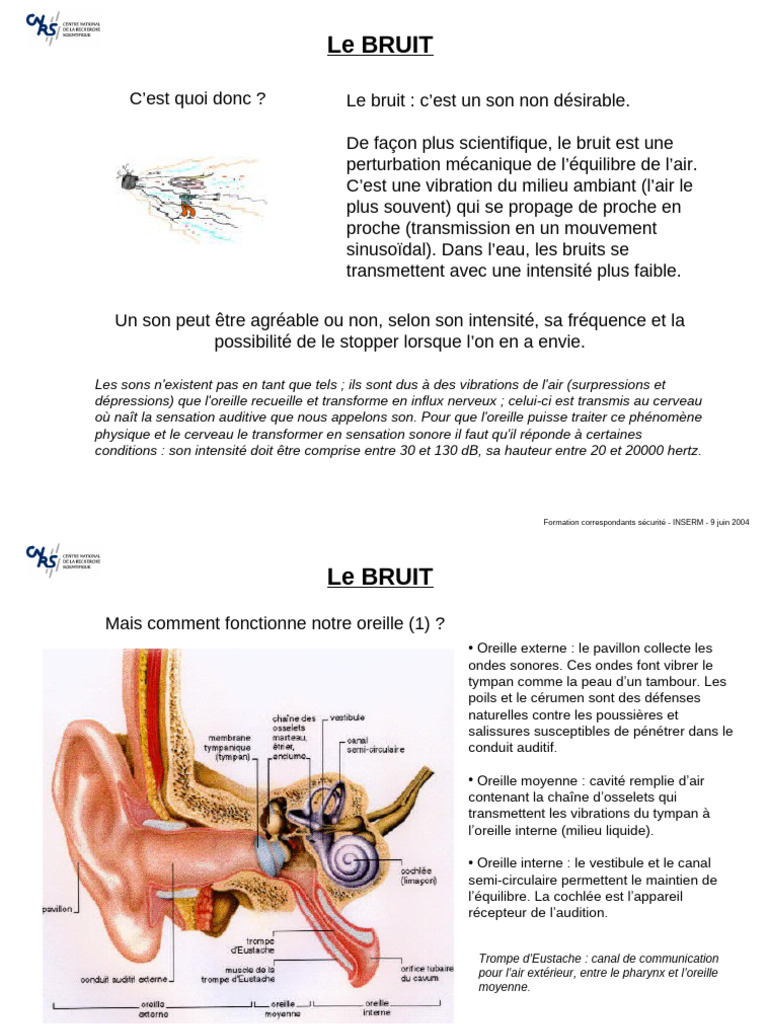 ACMO Et Le Bruit | PDF | Bruit | Son