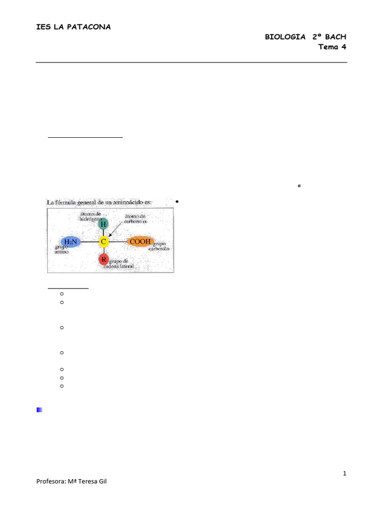 T4. Las Proteínas | PDF | Aminoácidos | Desnaturalización (bioquímica)