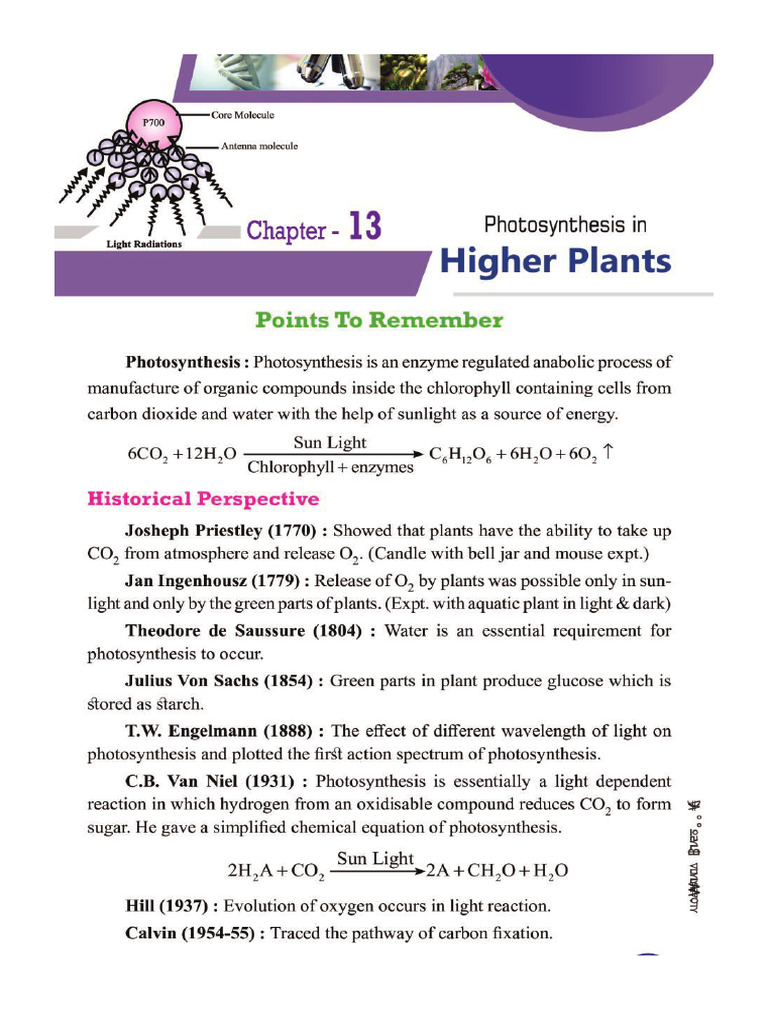 Photosynthesis in Higher Plants | PDF