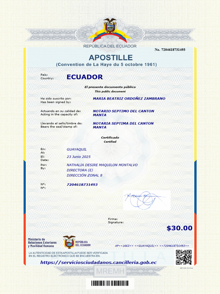 Apostilla 7204618731493 | PDF