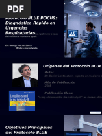 Protocolo Blue | PDF | Enfermedades y trastornos | Neumología