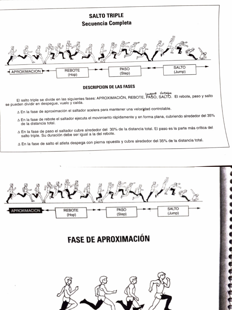 Técnica del Salto Triple: Fases Clave | PDF | Corriendo