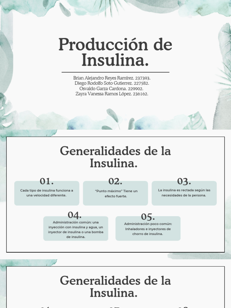 Producción de Insulina Qjsksks | PDF | Insulina | Diabetes