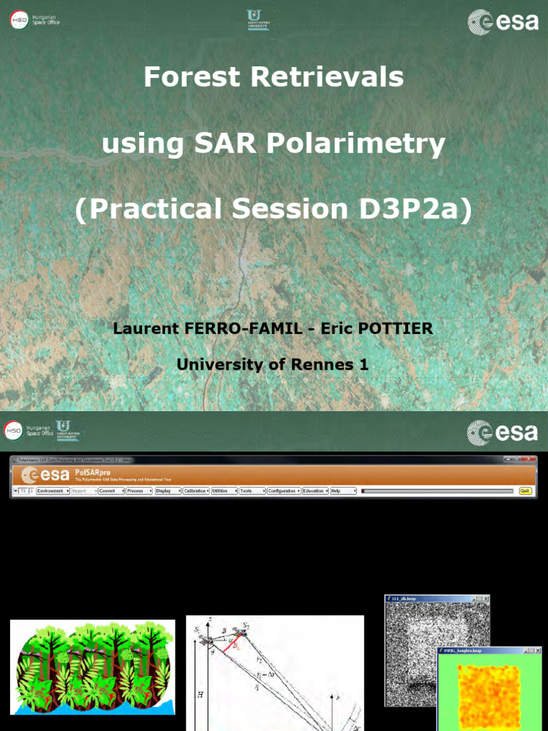 2017land D3P2a-P FerroFamil ForestPolSARpro | PDF | Polarization (Waves) | Parameter (Computer ...