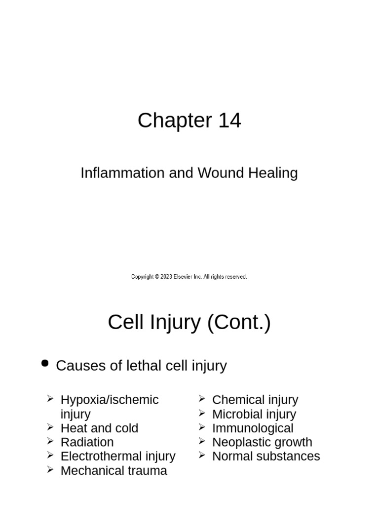Inflammation & Healing 3 | PDF | Inflammation | Wound Healing