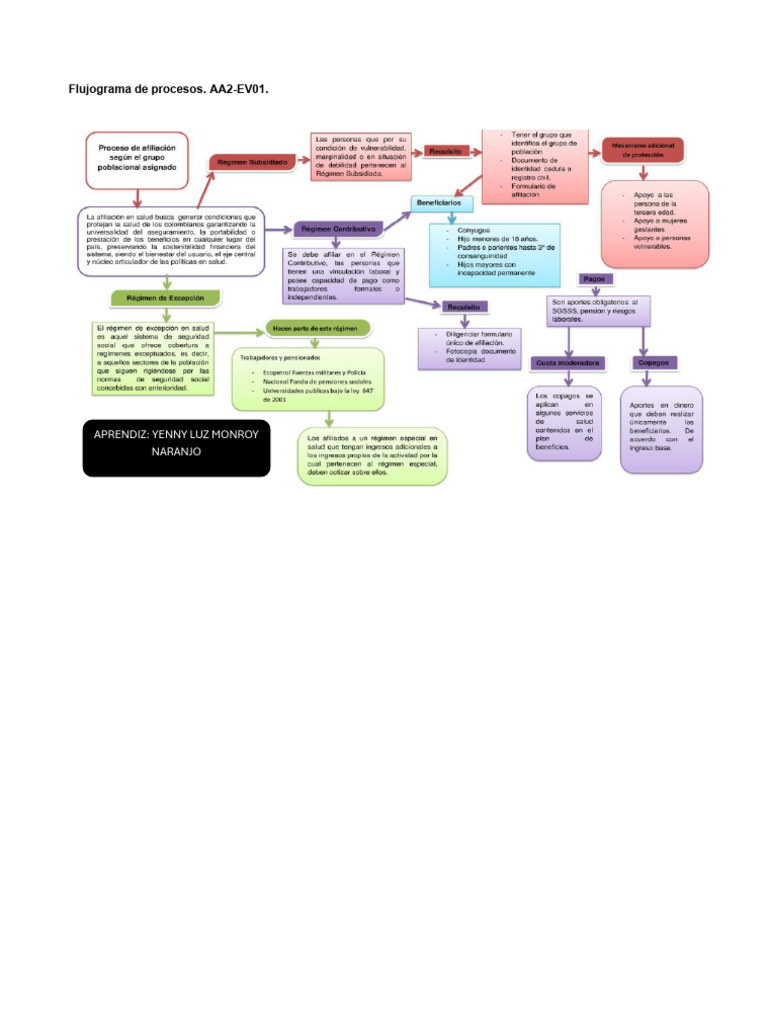 Flujograma de Procesos. AA2-EV01 | PDF