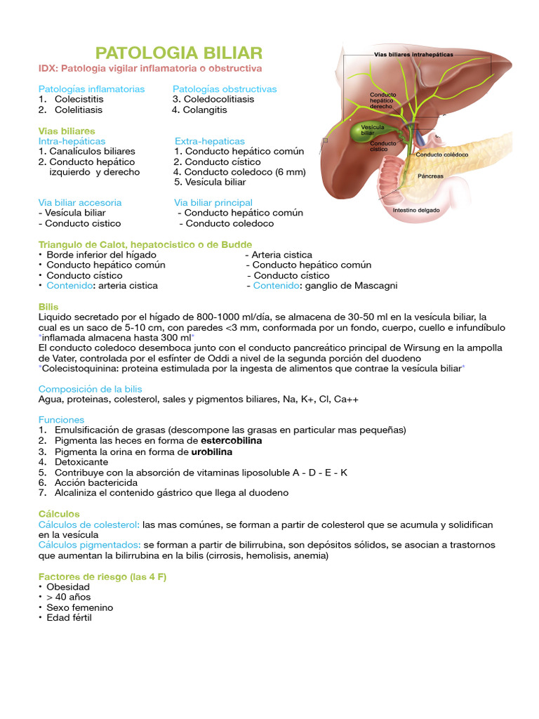 PATOLOGIA BILIAR-ciru | PDF | Vesícula biliar | Sistema exocrino