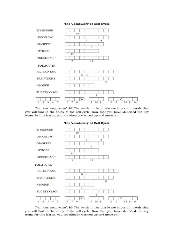Activity Gen Bio 1 - Phases of Cell Cycle | PDF