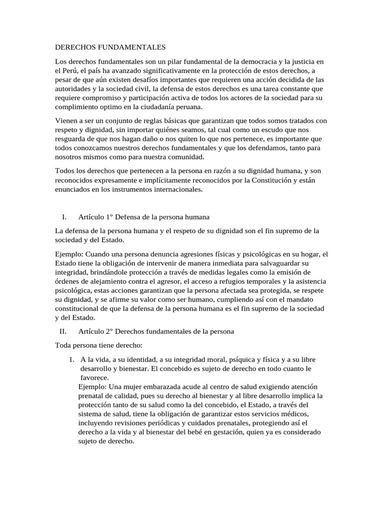 Derechos Fundamentales | PDF | Libertad de expresión | Libertad