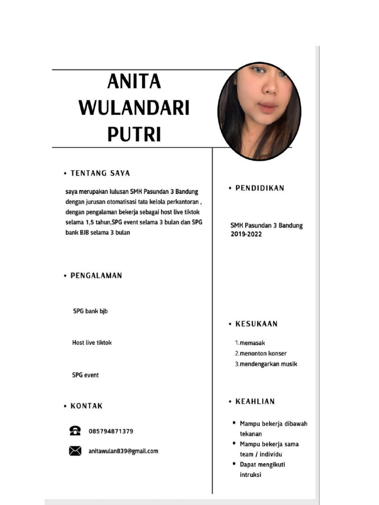 CV Anita | PDF