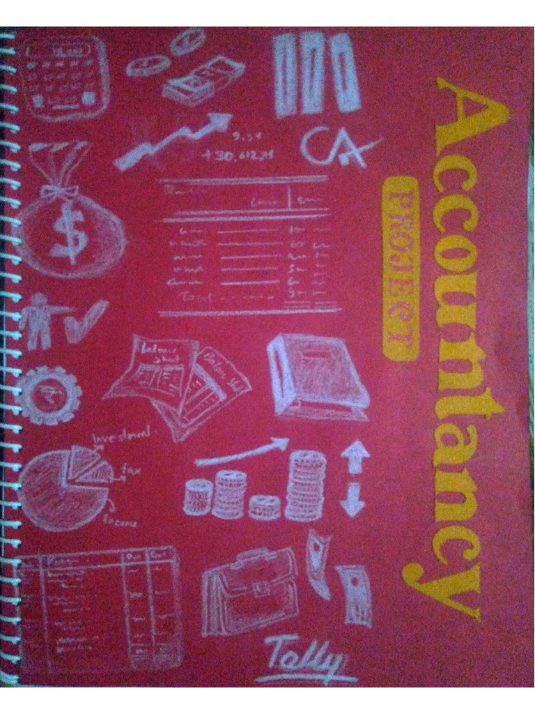 Class 12 Accounts Project On Cash Flow | PDF